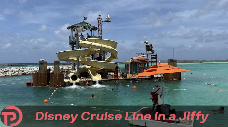 Disney Cruise Line in a Jiffy: What is the Pelican Plunge ...